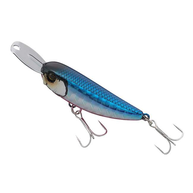 Jackall Riser Bait 004 | BESTANGLER.cz
